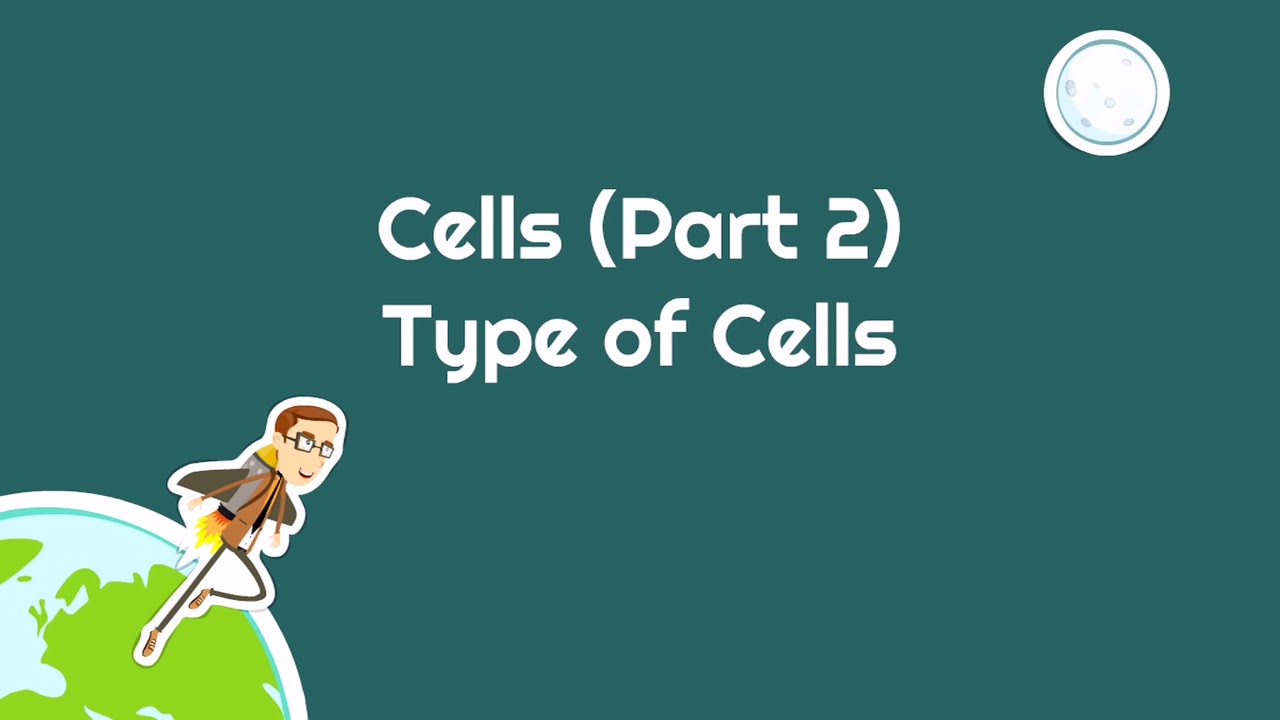 Cells (Part 2) - Types of Cells - YouTube
