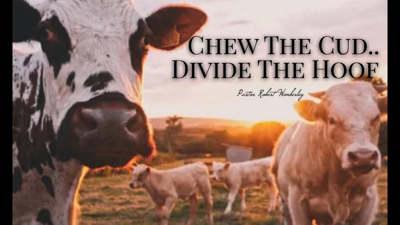 Chew The Cud…Divide The Hoof | Pastor Robert Wimberley - YouTube