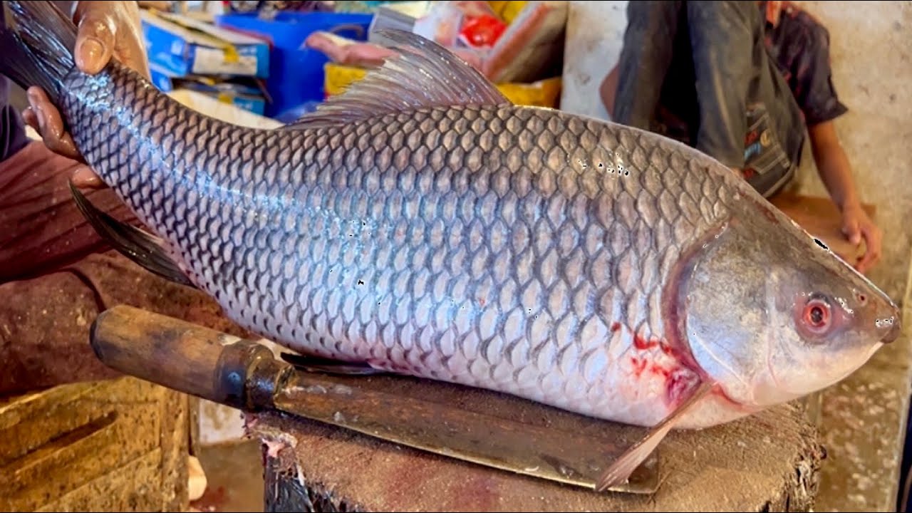 Amazing Cutting Skills | Big Rui Fish Cutting In Bangladesh Fish Market ...