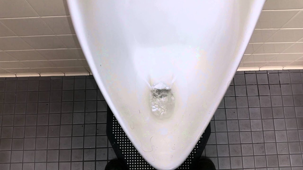 Bathroom Tour : Sterling toilet and Kohler Urinal at a truck place ...