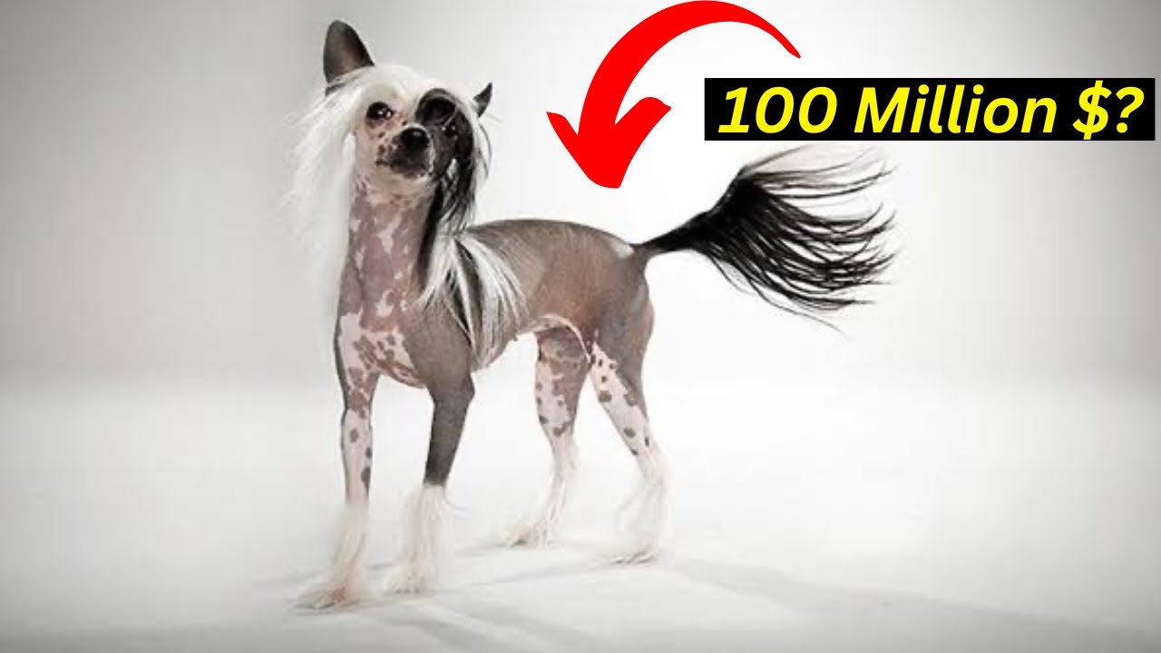 Top 10 Most Expensive Animal Leather at Kathleen Flores blog