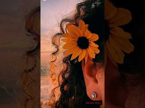 Ece mumay➡Ax pişti te yar  /dinlə/ Qarşılıqlı abone var✔