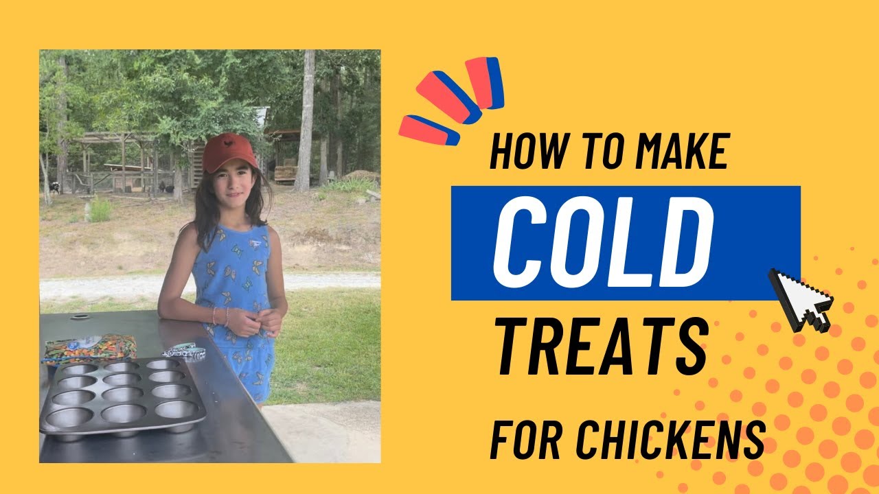 How To Make Cold Treats For Chickens YouTube how-to-make-cold-treats-for-chickens-youtube