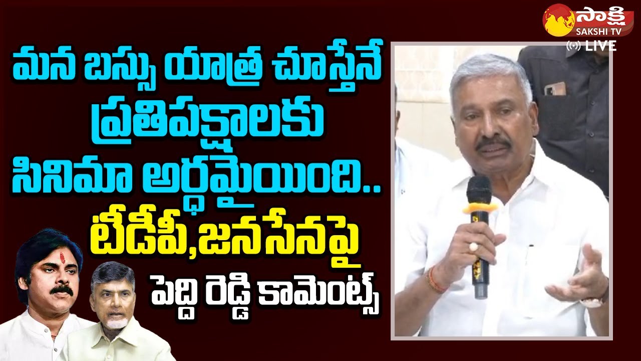Minister Peddi Reddy Ramachandra Reddy Comments On TDP And Janasena ...