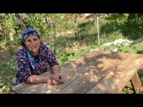 Taze taze bahçe mahsulü bunlar - Köy Hayatı Sevenler