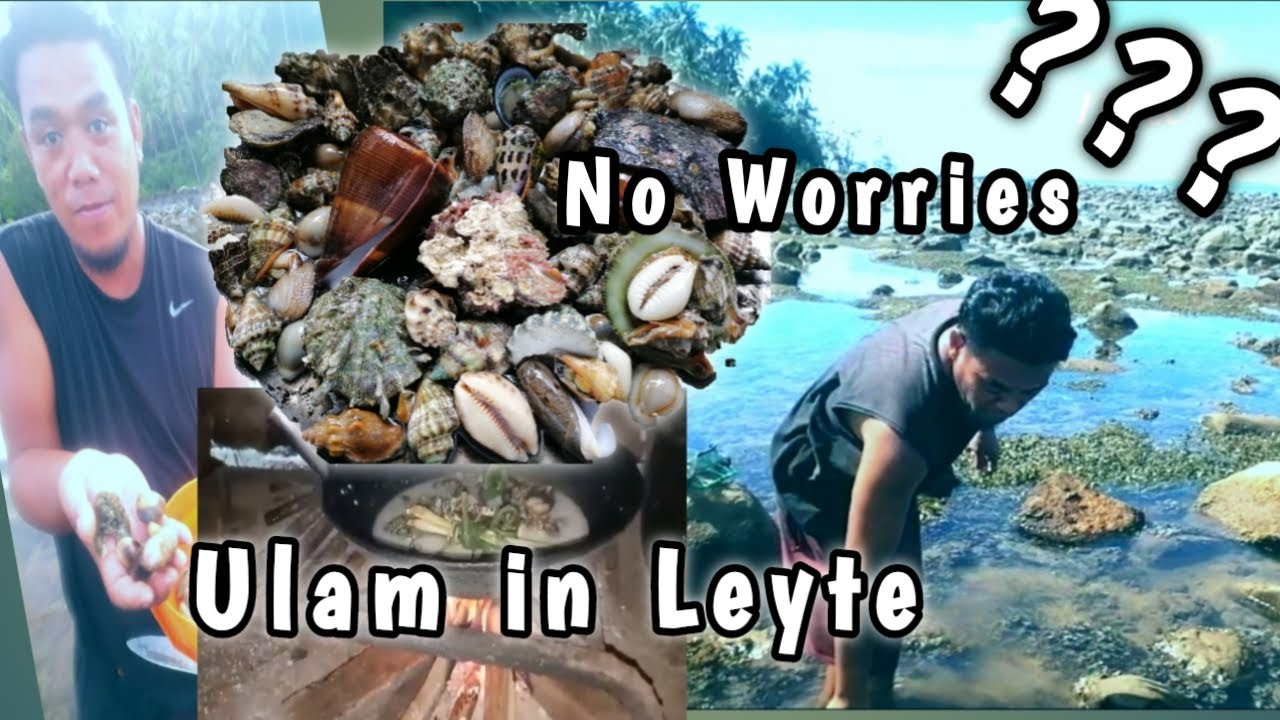 SeaShells / Lamang Dagat / Kinhason in Leyte Buhay Probinsya - YouTube