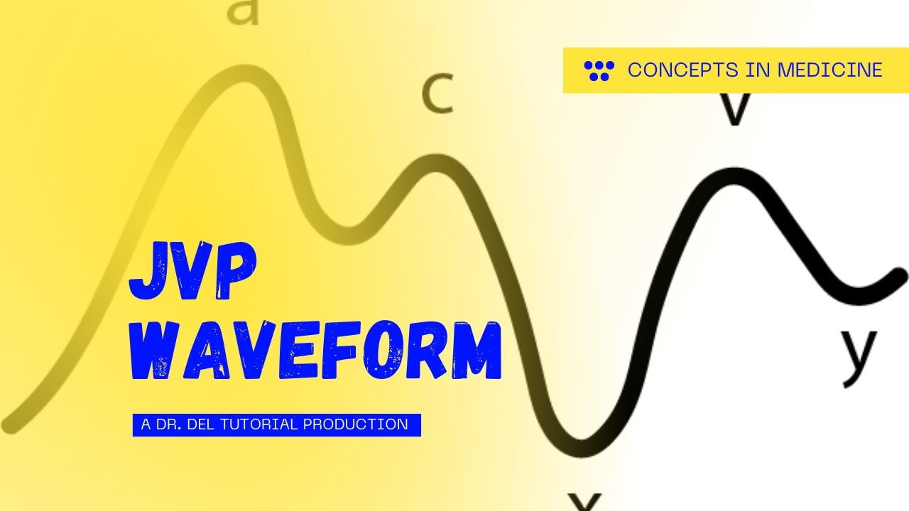 JVP Waveform(Simplified!!) - YouTube