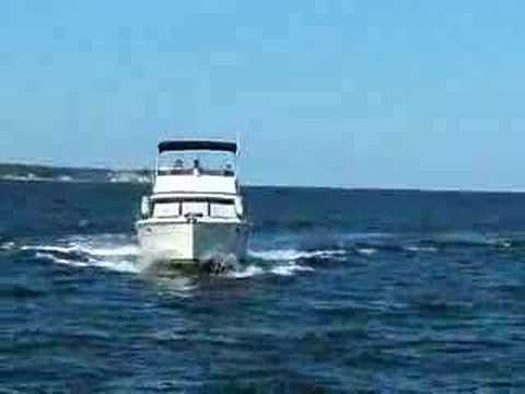 1974 Trojan F-36 Boat Part 2 - YouTube