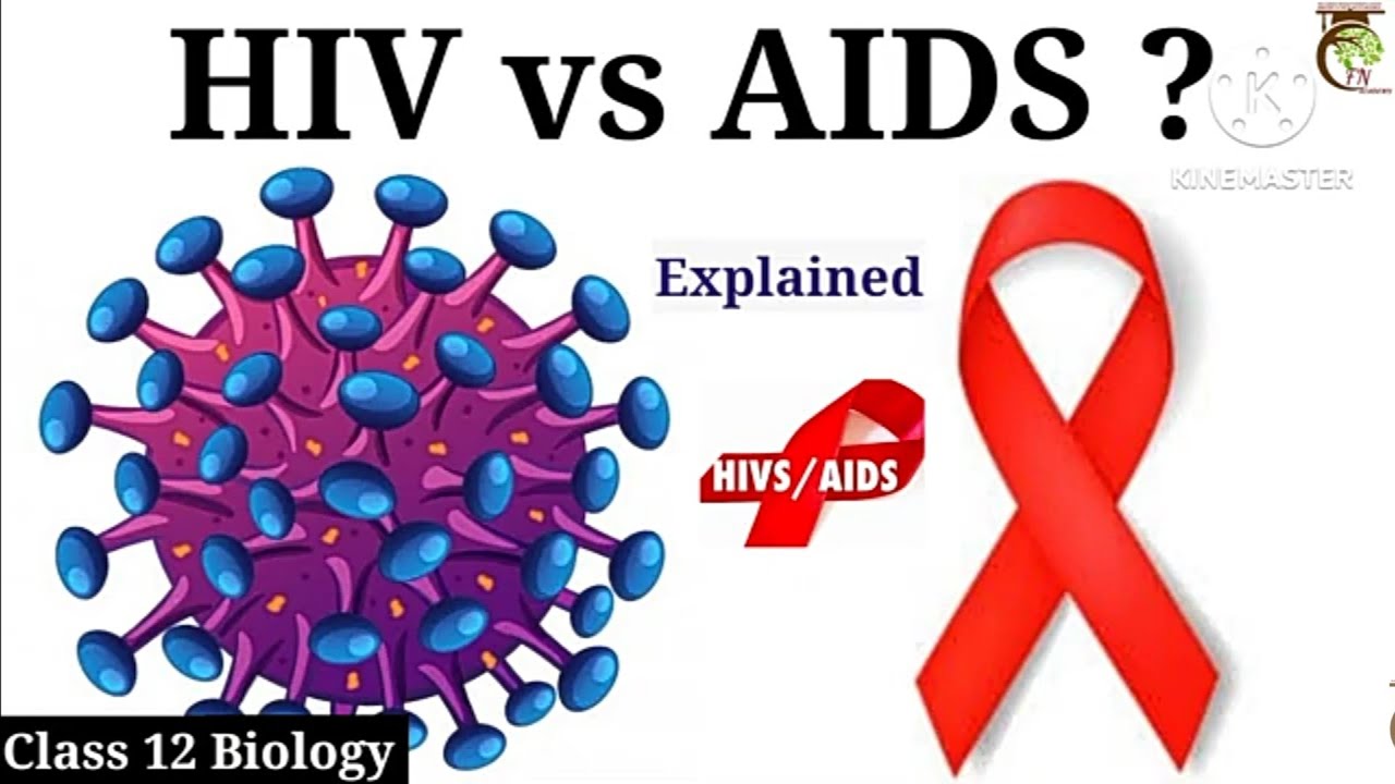 HIV vs AIDS | Human Health and Disease | Class 12 Biology | NEET ...