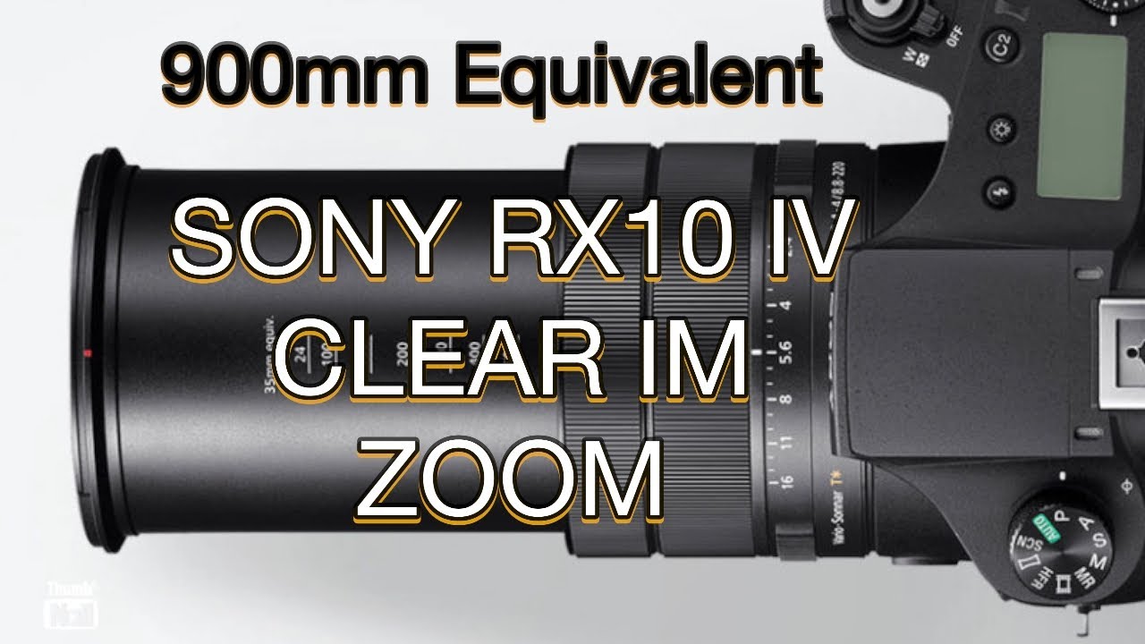 SONY RX10 iv CLEAR IMAGE ZOOM IN 2024 - YouTube