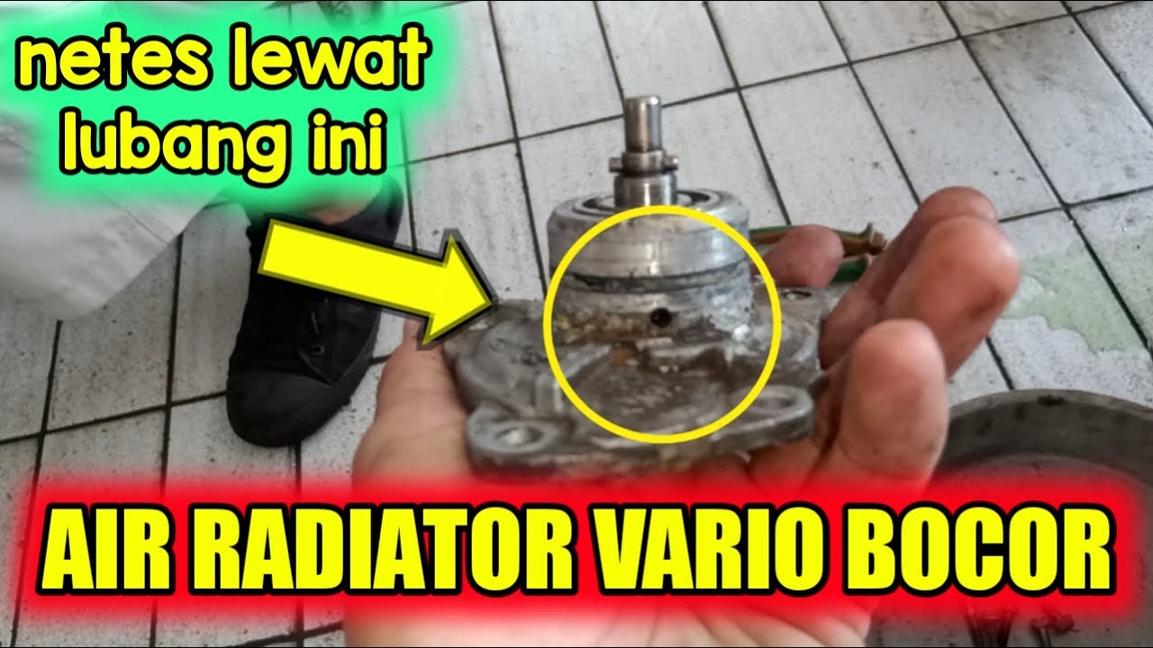 Penyebab dan cara mengatasi air radiator Vario 125/150 bocor, air ...