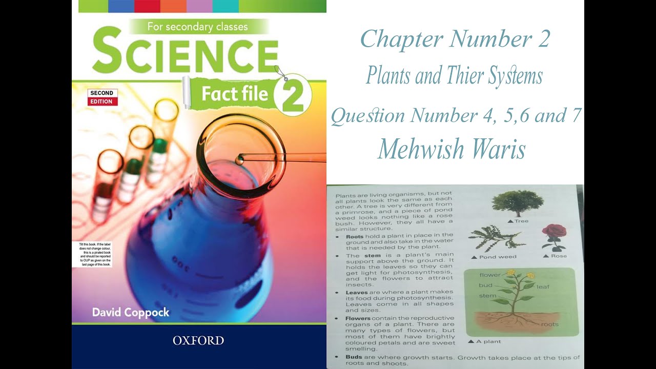 Plants and their systems | Science Fact File 2 | Class 7 | Leaves ...