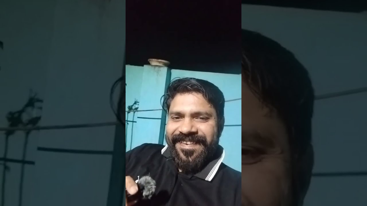 Fun With Ali Hussain is live! - YouTube