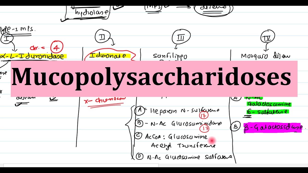 28. Mucopolysaccharidoses - Biochemistry, Clinical Features, Diagnosis ...