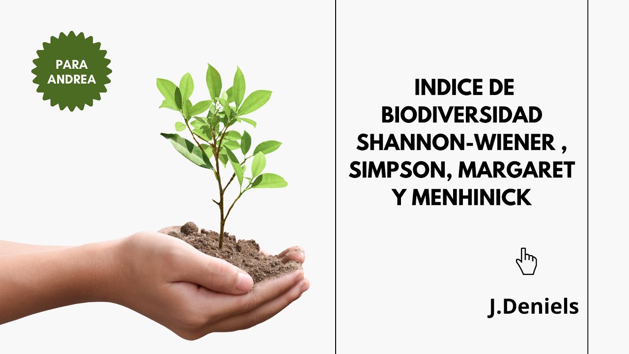 INDICE DE BIODIVERSIDAD SHANNON-WIENER , SIMPSON, MARGARET Y MENHINICK ...
