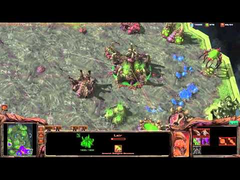 Starcraft 2 Race Comparison - Zerg - YouTube