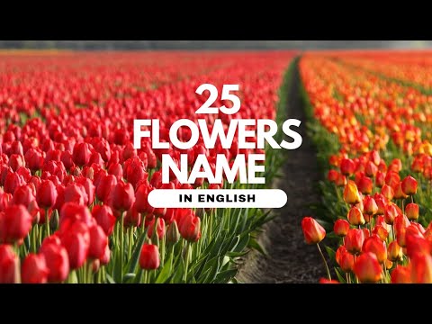 25 Flowers Name | Name Of Flowers In English - YouTube