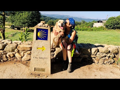 Camino de Santiago con perros - Quinto camino - Sara Escudero