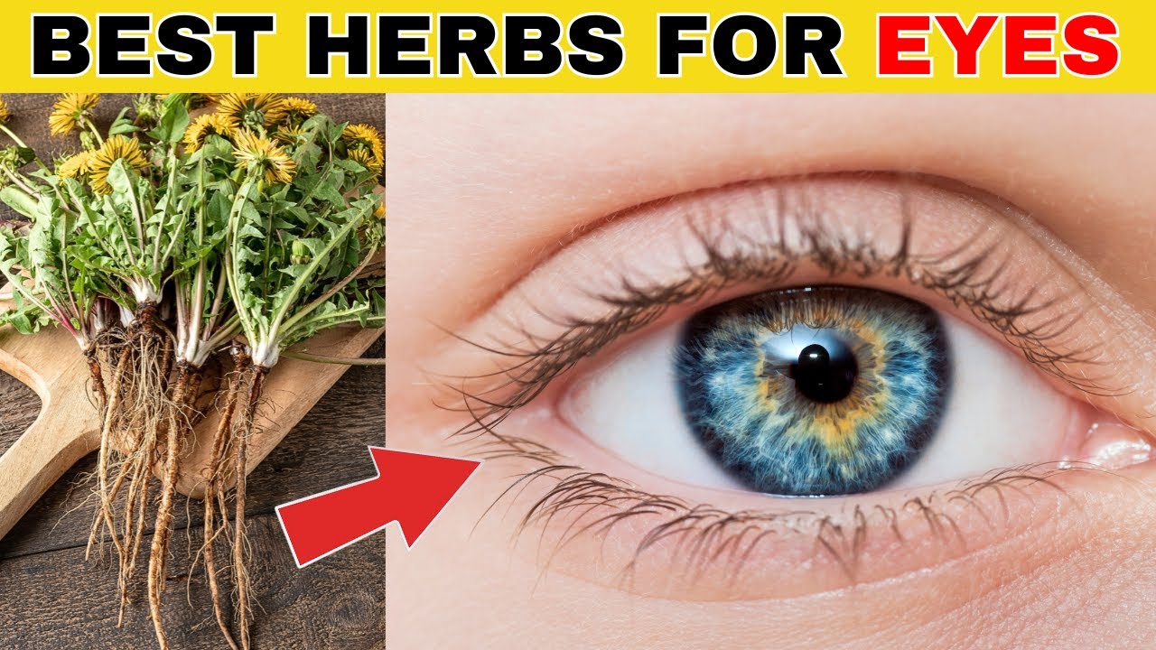 7 Herbs That Protect Eyes and Repair Vision Naturally (Best Herbs For ...
