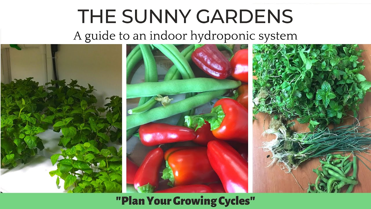 Module 4 Part D "Plan Your Growing Cycles" - YouTube