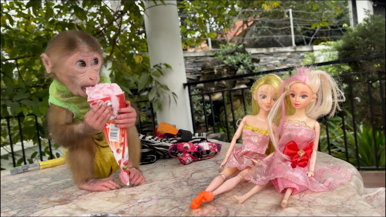 Monkey baby bon tom| bon bon monkey is happy when eating cool ice cream ...