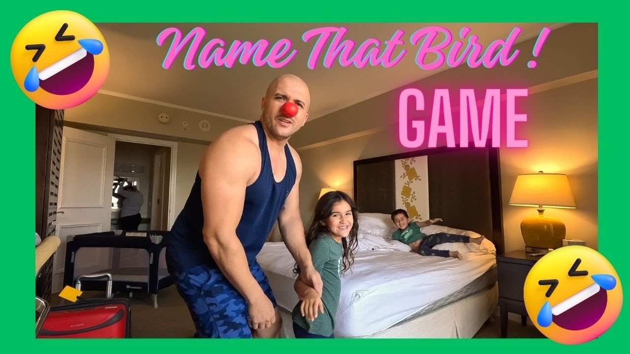 Name That Bird Game 4K - YouTube
