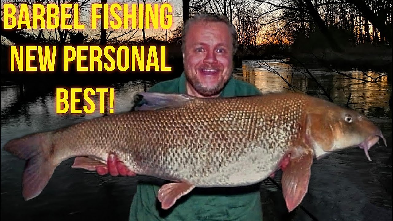 Barbel Fishing - Big Barbel - New Personal Best! (Video 250) - YouTube