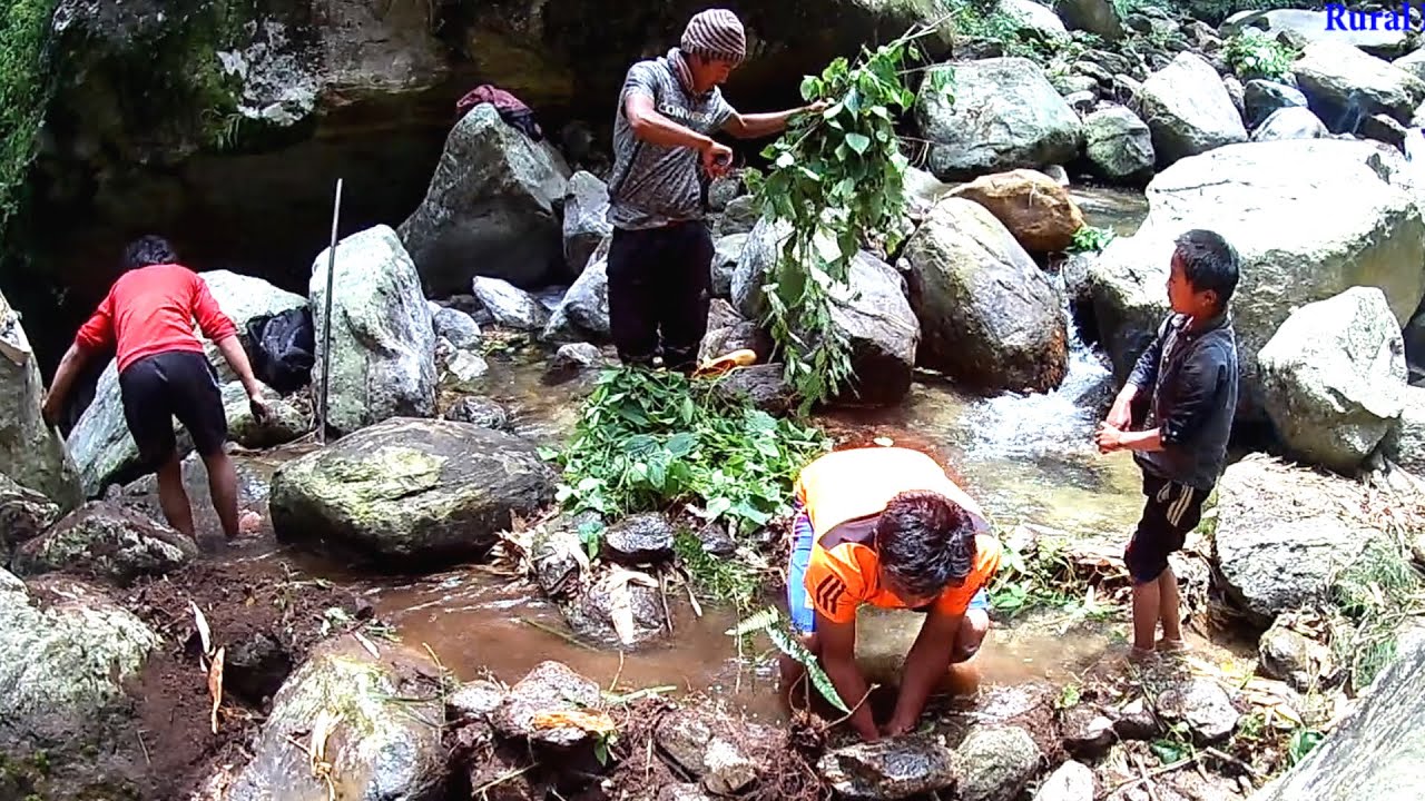 Himalayan Fishing ( Part - 2 ) - YouTube