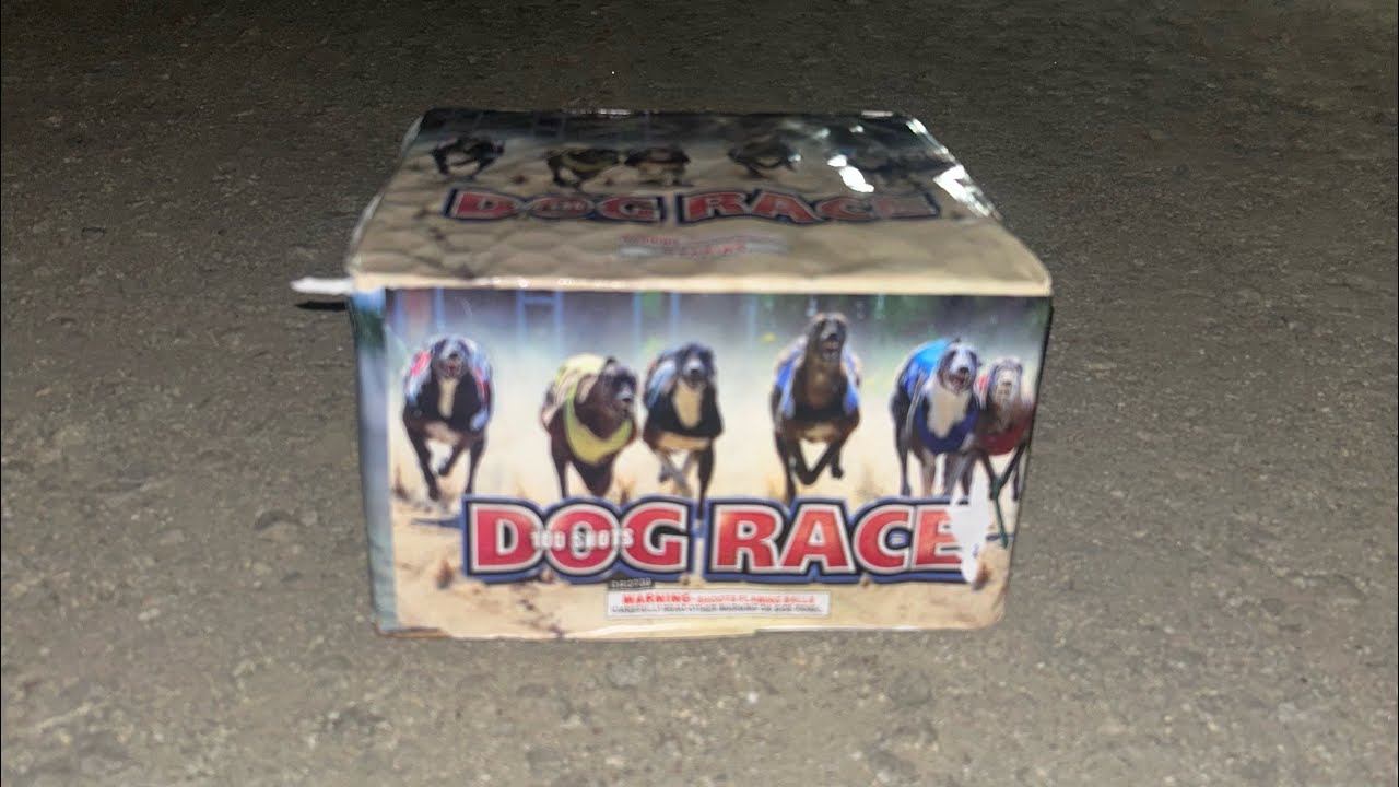 Dog race 100 shot Firework - YouTube