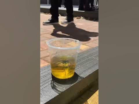 8th Grade Photosynthesis Lab- Bromothymol Blue - YouTube