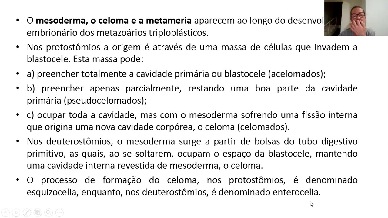 AULA 2 - Metameria; Evolução da cutícula; Celomados - YouTube