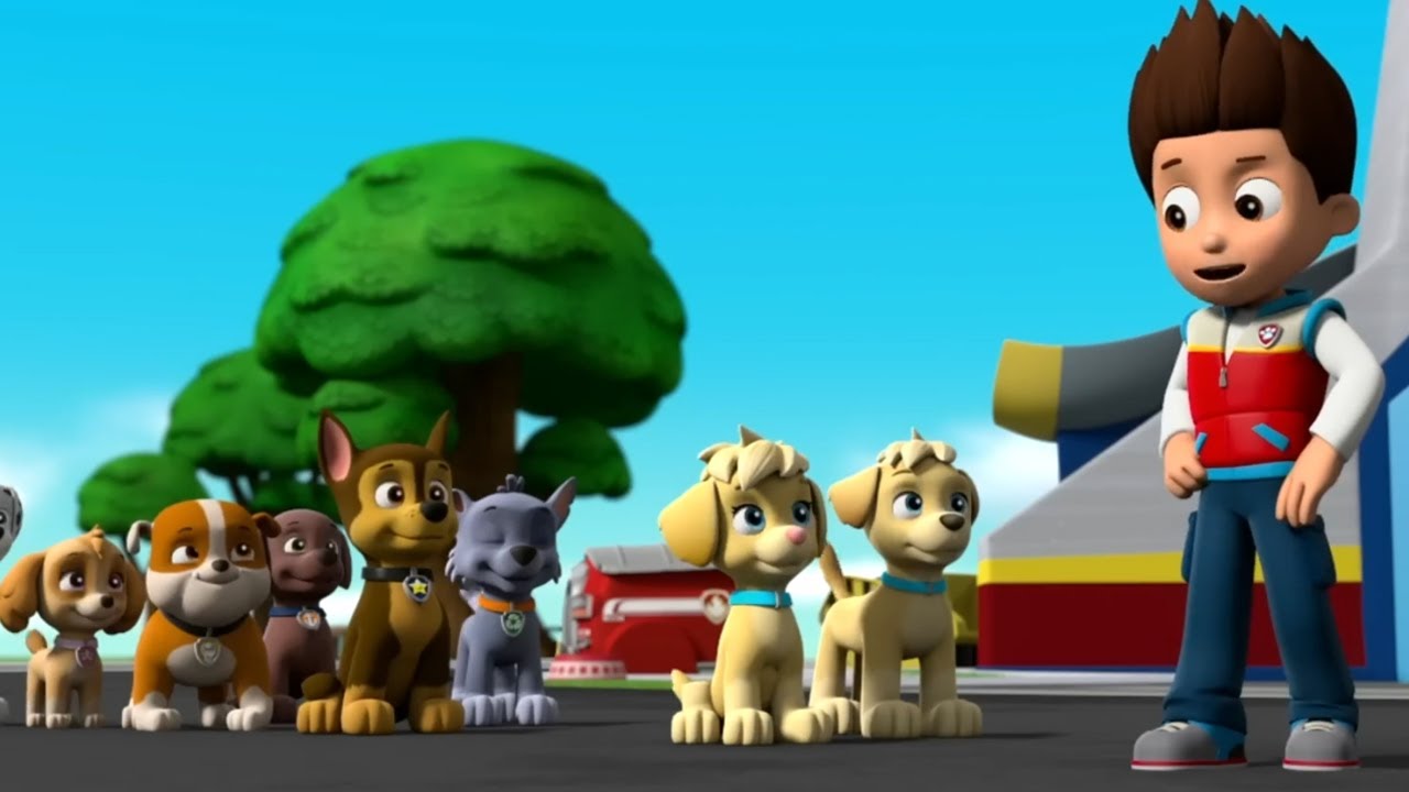 🐾PAW Patrol 03 | Coffin Dance Song #coffindance #short #meme - YouTube