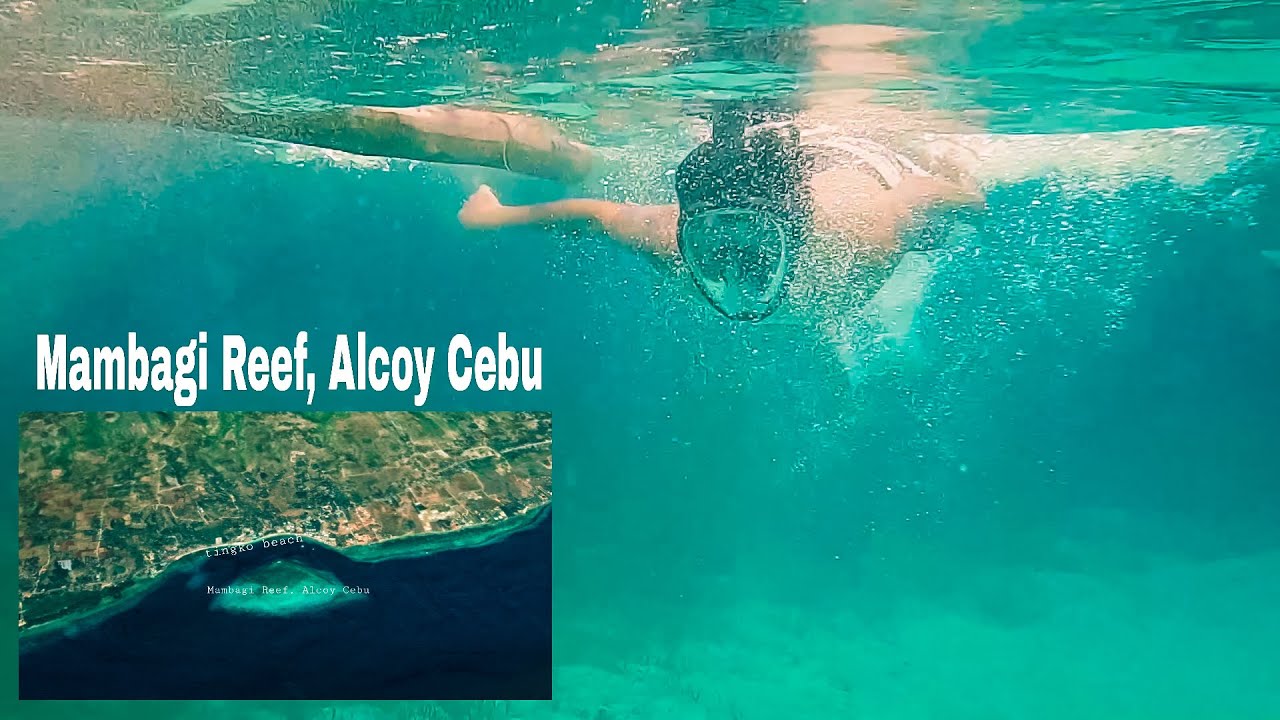 Mambagi Reef, Alcoy Cebu (A glimpse vlog) - YouTube