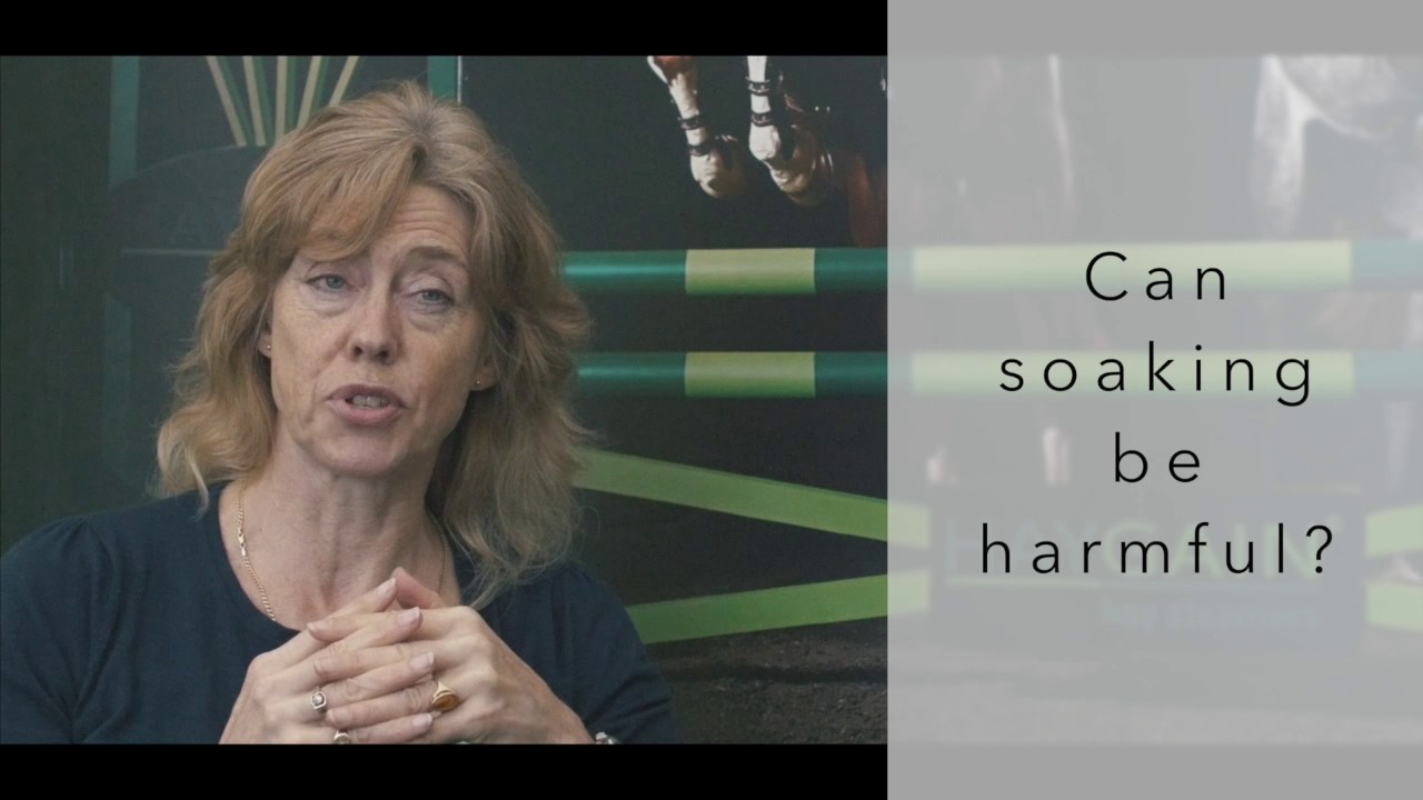 Benefits of steaming hay versus soaking - YouTube