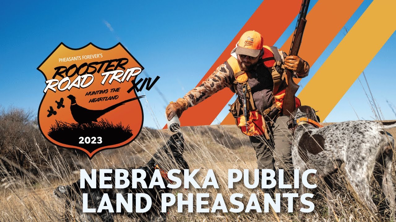 Nebraska Public Land Pheasants | 2023 Rooster Road Trip Ep. 4 - YouTube