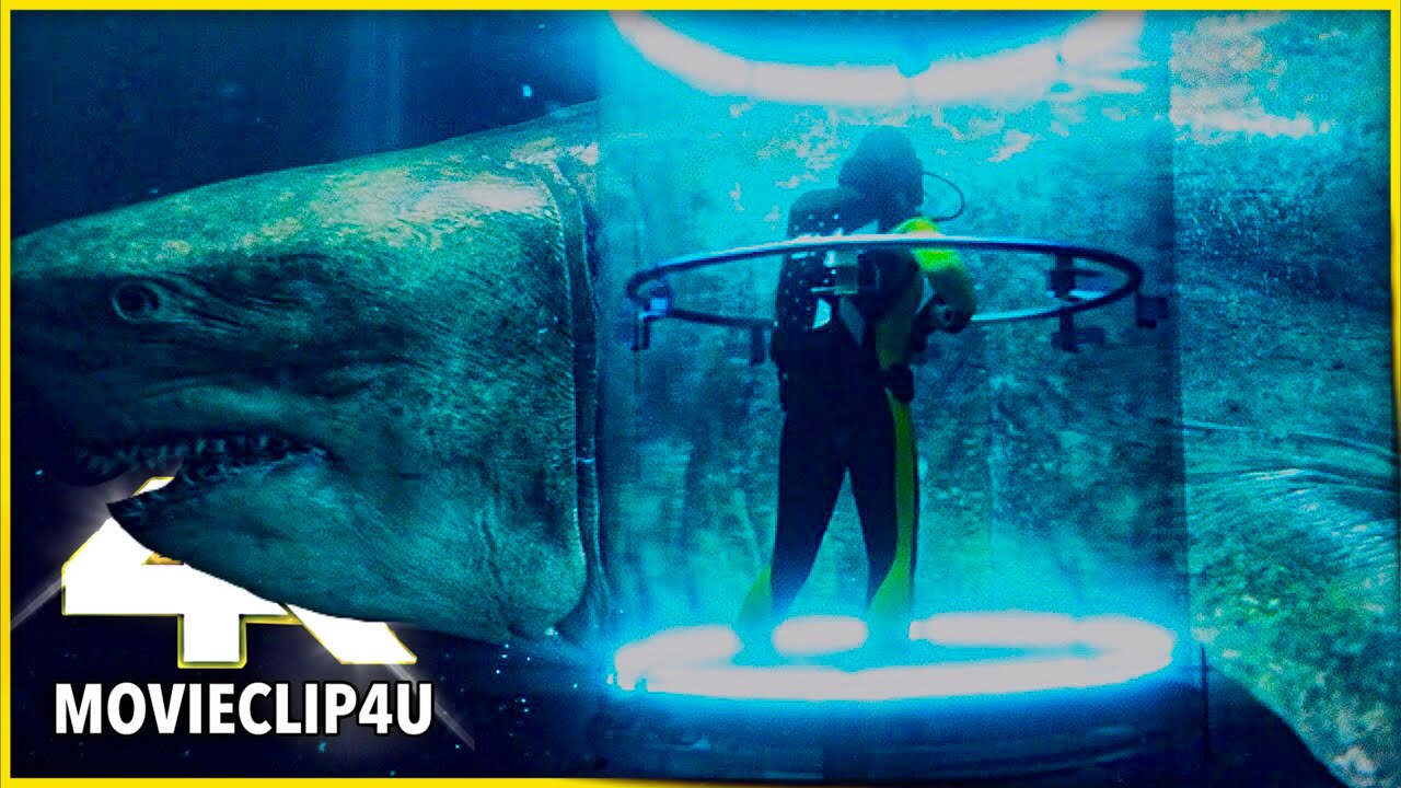 The Meg (2018) - Megalodon vs Shark Cage | MᴏᴠɪᴇCʟɪᴘ4ᴜ - [HD] - YouTube