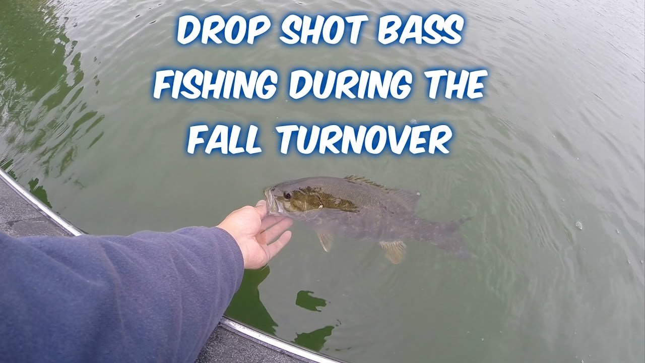 Drop Shot Bass Fishing During The Fall Turnover - YouTube
