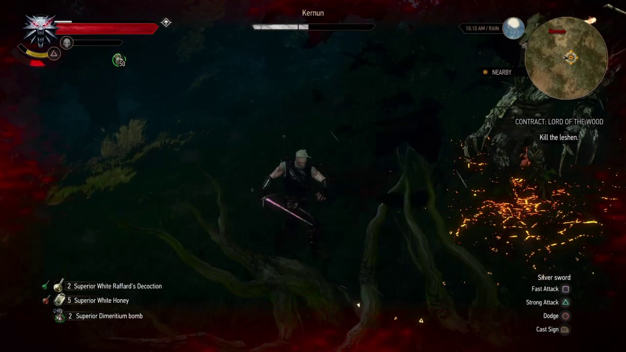 The Witcher 3: Wild Hunt – Lord of the Wood - YouTube