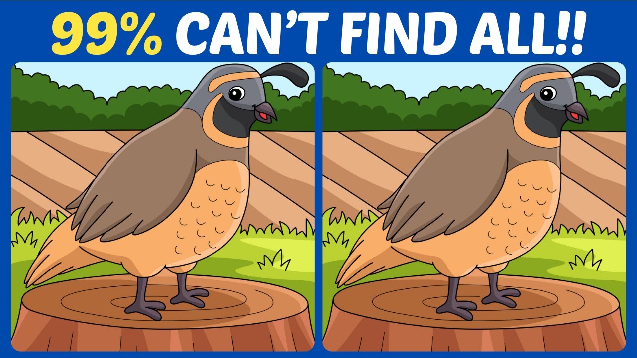【Spot the difference】🔥Do you have a healthy brain? 99% can not find all!! 【Find the differences ...