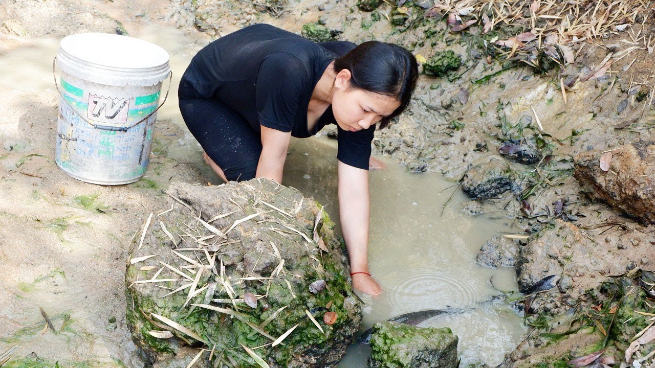 Catching fish under stone in natural canal, I am fishing - YouTube