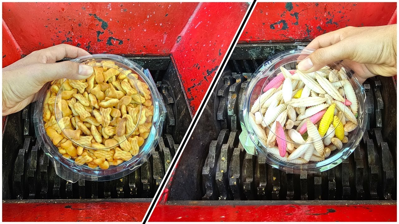 Cookie vs SHREDDER vs Worm Yeast Cake | Best Sound Shredding Videos ...