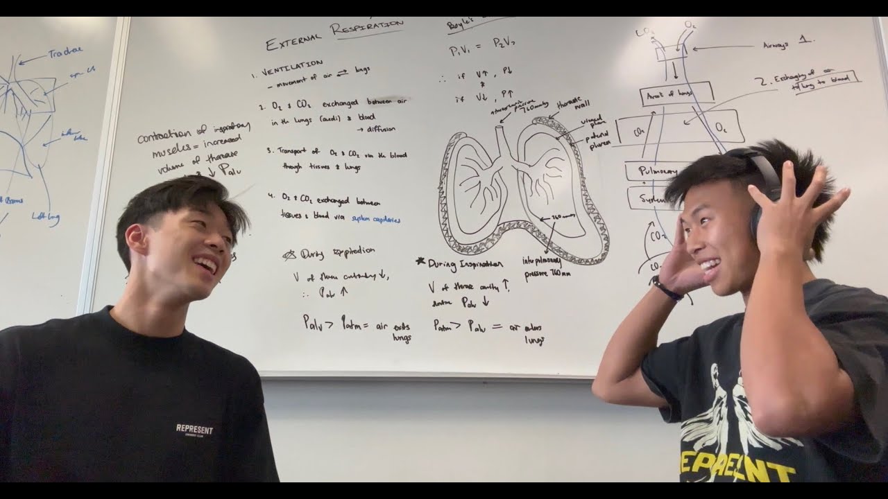 THE WHISPER CHALLENGE WITH AIDEN // PETER LE - YouTube