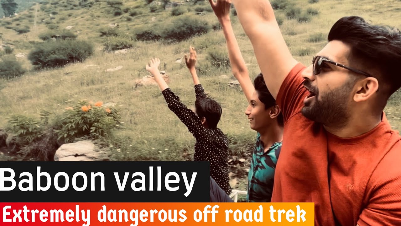 NOT FOR THE FAINT OF HEART — BABOON VALLEY — A Journey full of ...