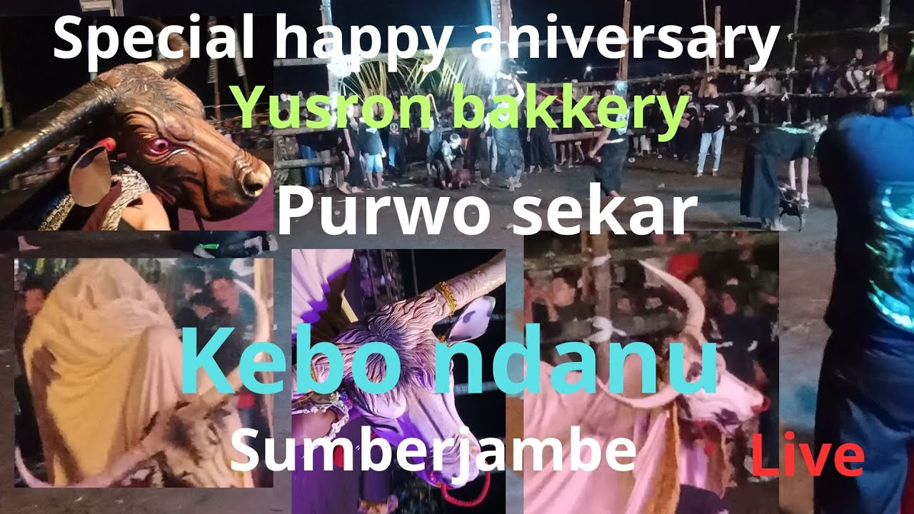 kebo ndanu purwo sekar spesial hapy aniversary yusron bakery live ...
