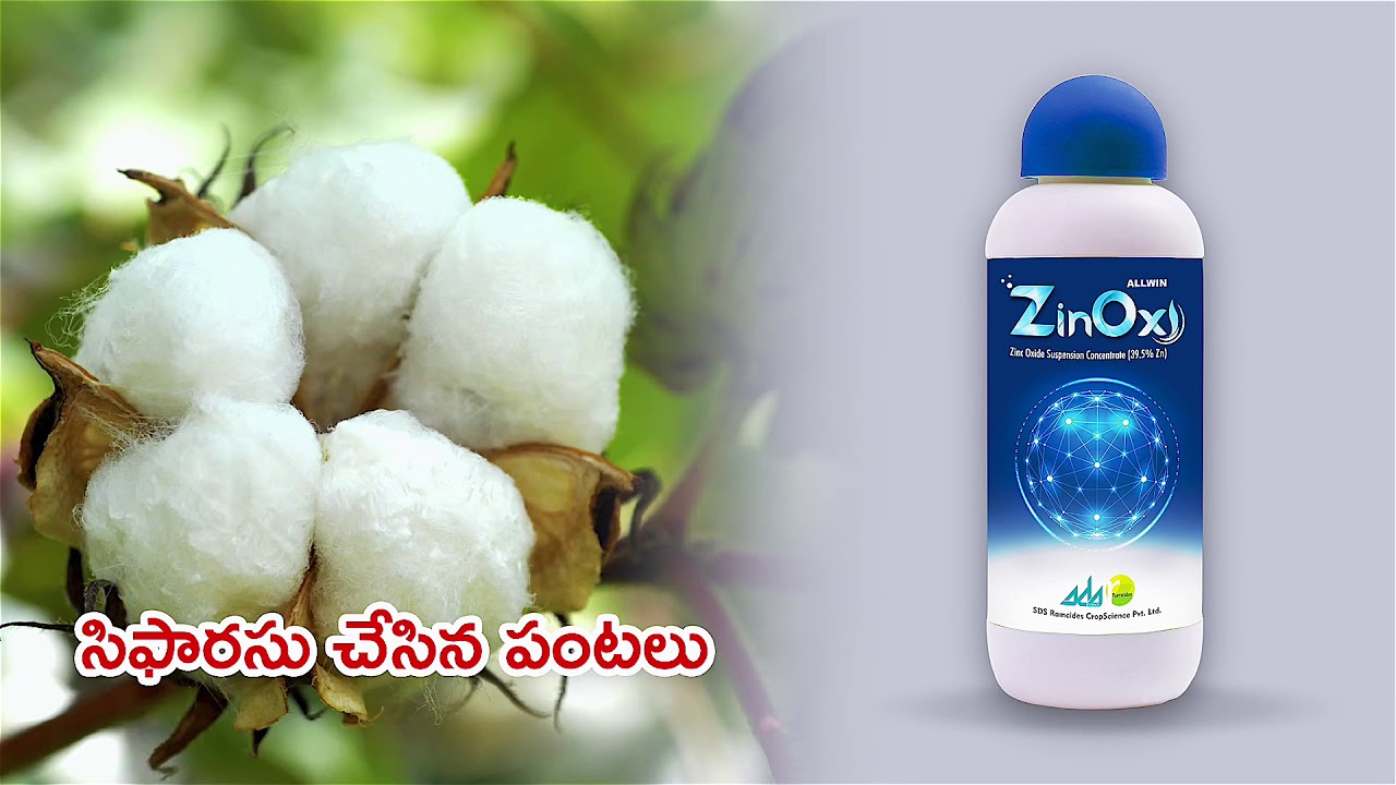 SDS Ramcides CropScience Pvt.Ltd. ALLWIN ZINOX - YouTube
