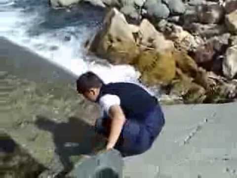 turkiyede Rasim ,Ataw,Natiq,Baba  lokbatan uwaqlari