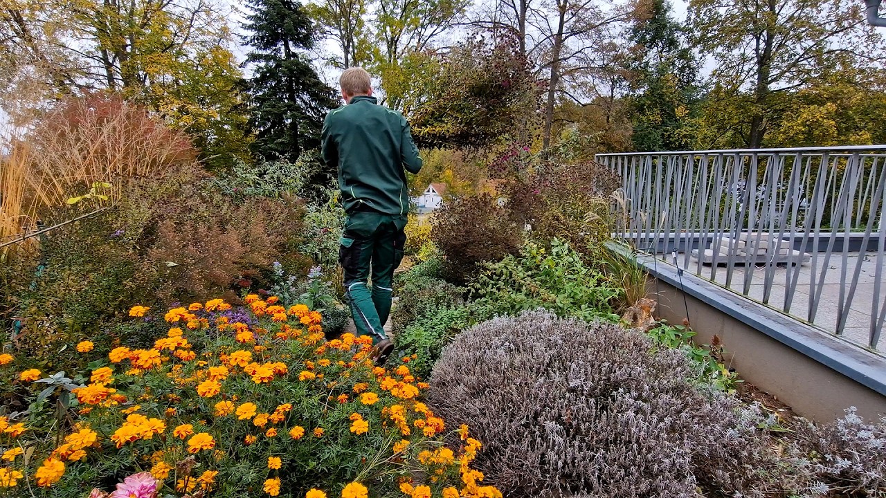 Clean Up Of A Beautiful Flower Bed - YouTube
