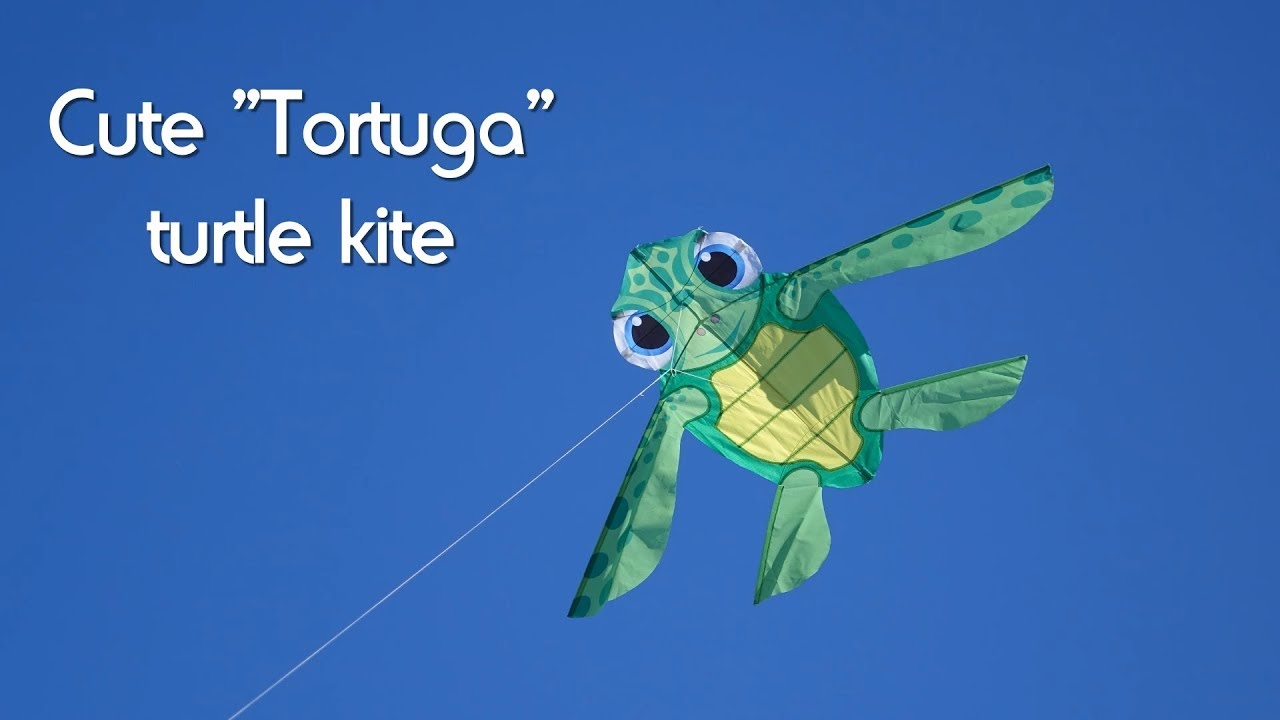 Cute Tortuga turtle kite - YouTube