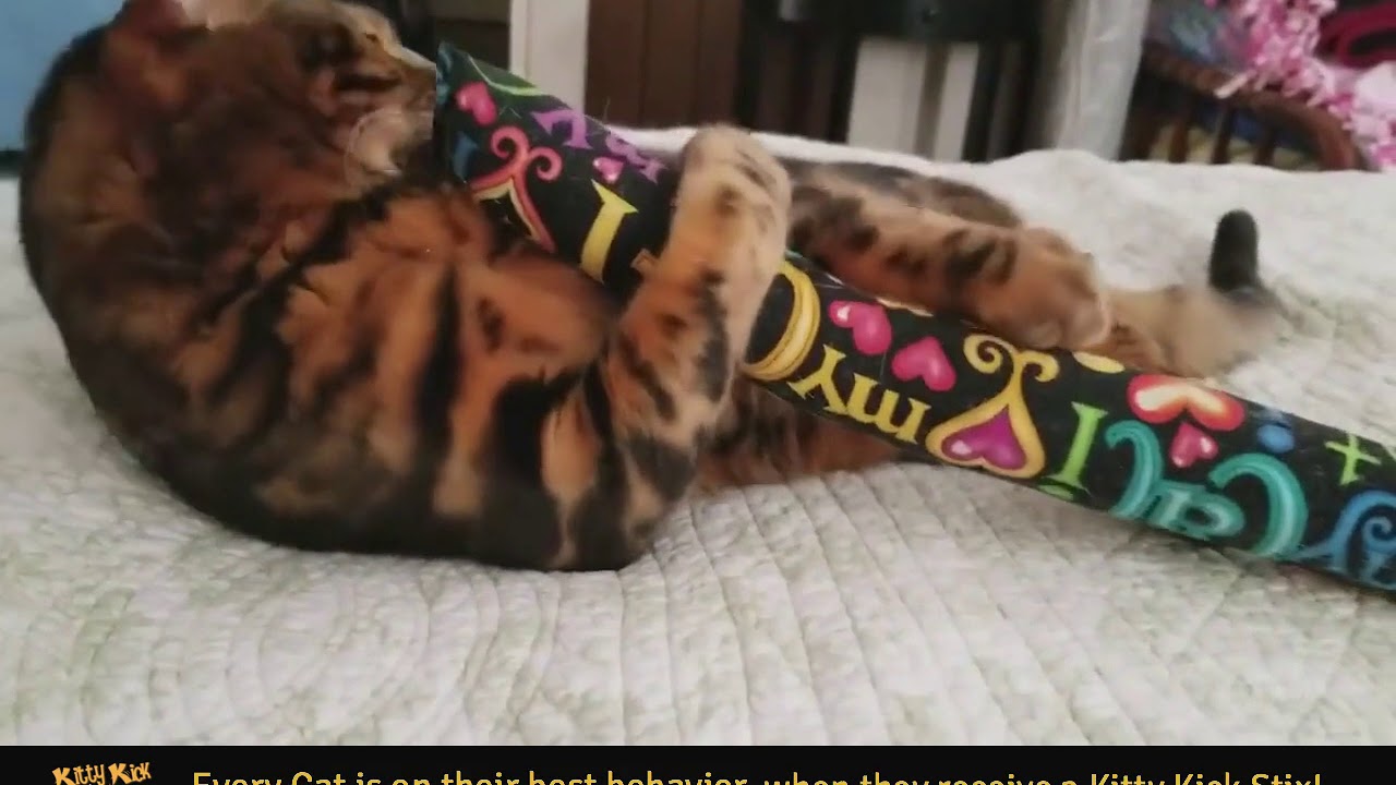 The Original KittyKickStix - 15" Catnip Kicker Toys - YouTube