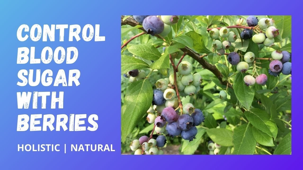 🫐 💙 Regulate Blood Sugar With Low Glycemic Berries - YouTube